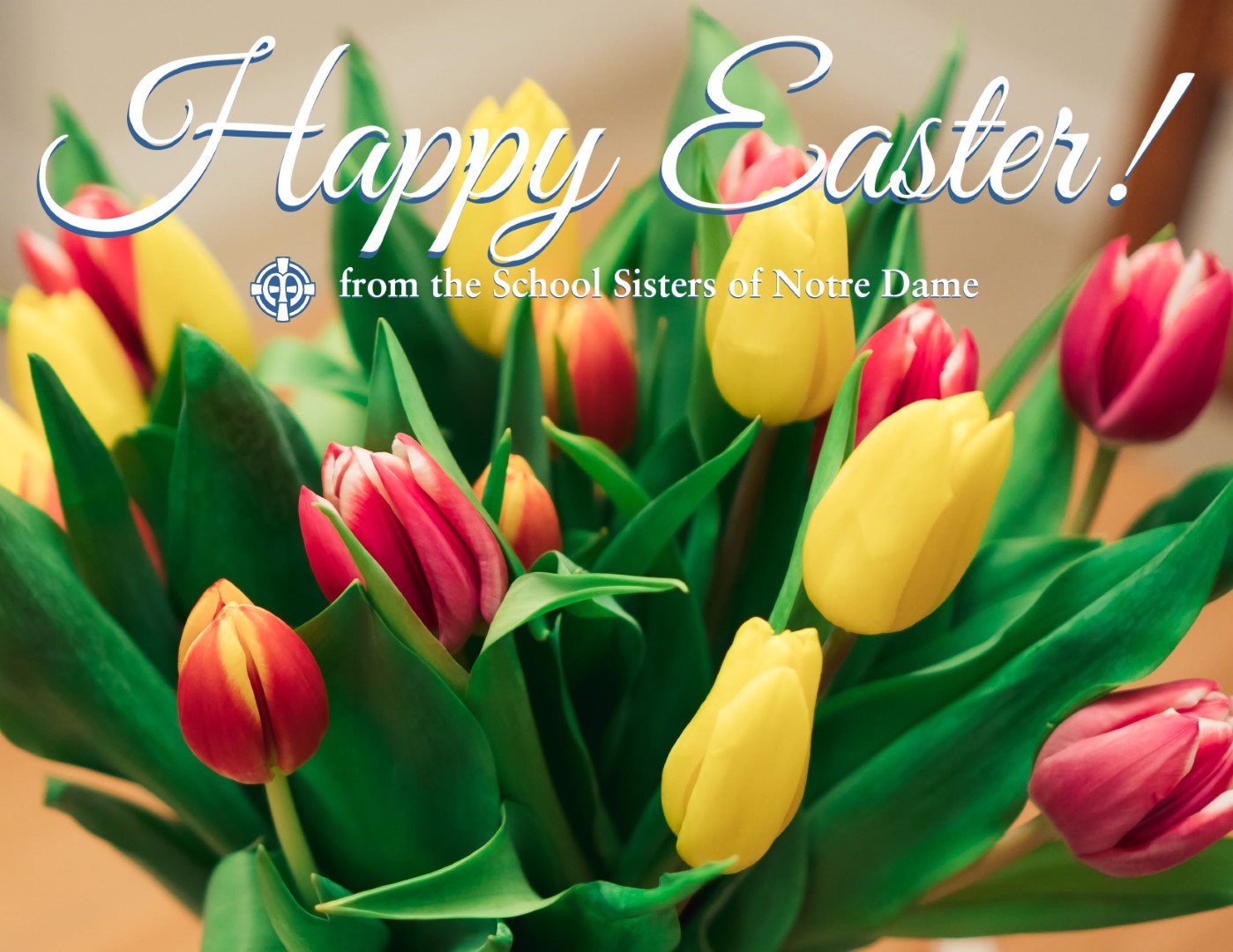 Home Page - School Sisters of Notre Dame