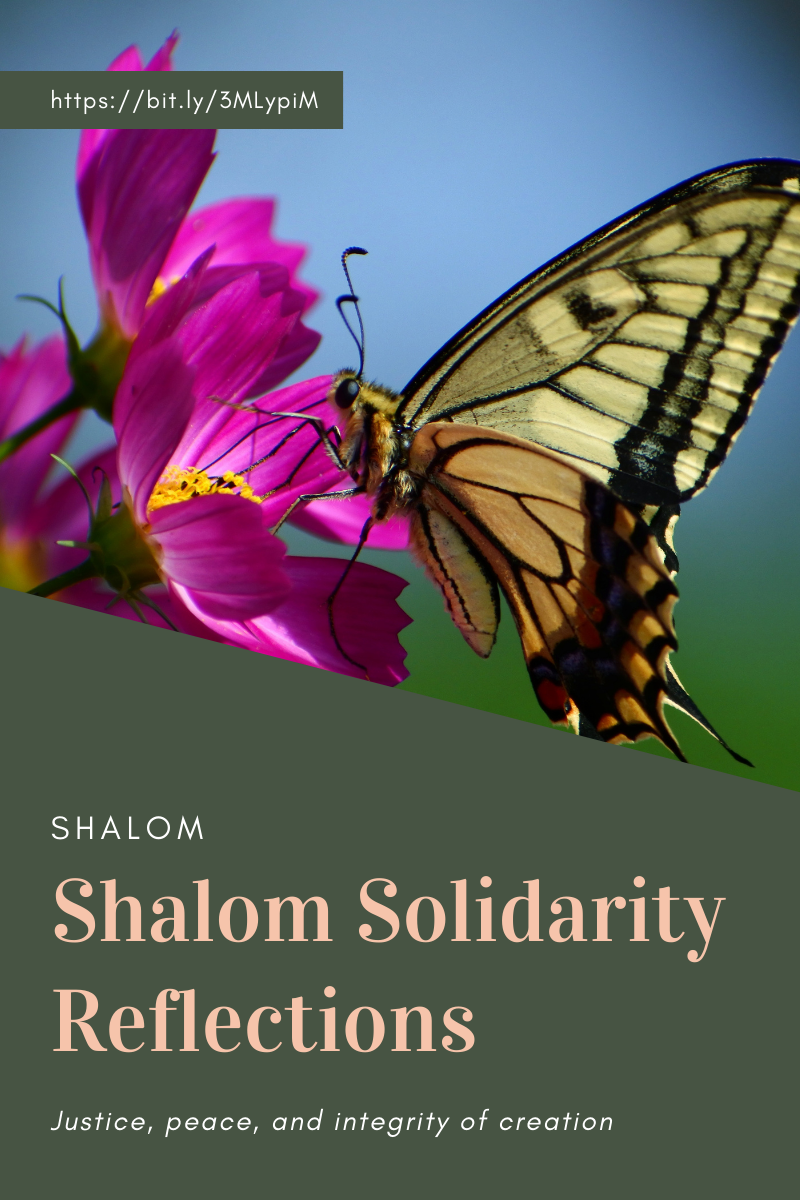Shalom Network - School Sisters of Notre Dame